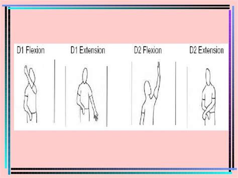 Best PNF Proprioceptive Neuromuscular Facilitation Images On Pinterest Occupational Therapy