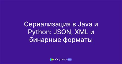 Сериализация в Java и Python Json Xml и бинарные форматы