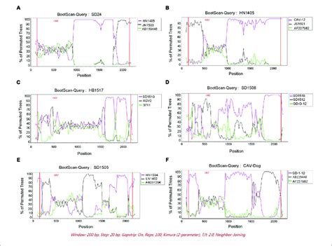 the bootscanning analysis of the six putative recombinants simplot