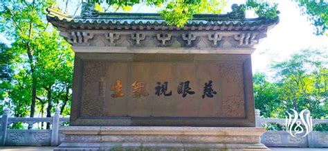 法师文选 慈航之舟叙佛胜意四分比丘尼戒相表记叙