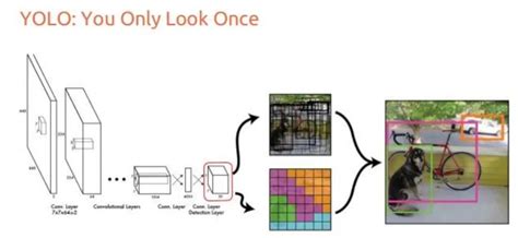 Computer Vision Yolo Grid Cells And Anchor Boxes By Ayush Yajnik