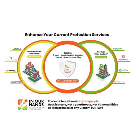 Citrus Consulting Infographics Outsource To Us