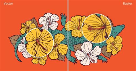 Raster To Vector Design A Comprehensive Exploration Retouching Labs