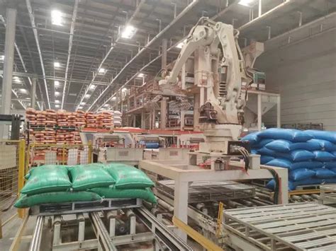 Multi Function Packaging Line Palletizing Robot Industrial Arm Palletizing System Tengyang