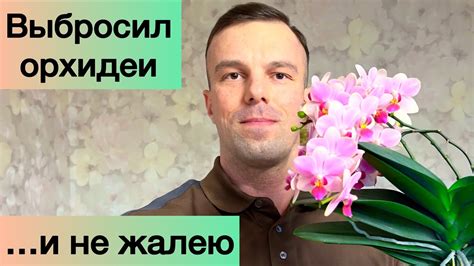 Куда пропал?! Выбрасываю орхидеи! - YouTube