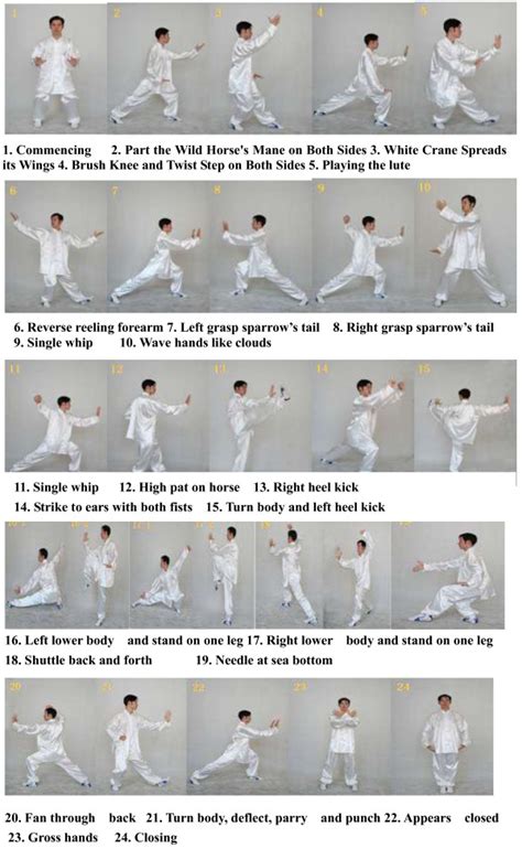 24 Forms Simplified Tai Chi Chuan Download Scientific Diagram