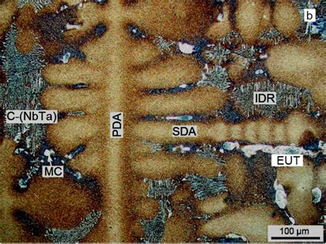 Microstructure Of As Cast Sc Ni Based Superalloy Zs32 Vi In