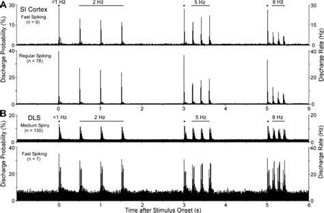 mean response patterns of si a and dls b neurons in 15 rats in