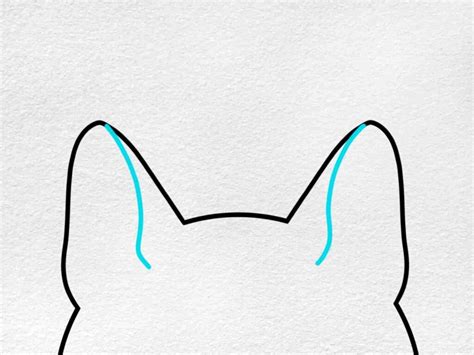 How To Draw Cat Ears Howtothings Net