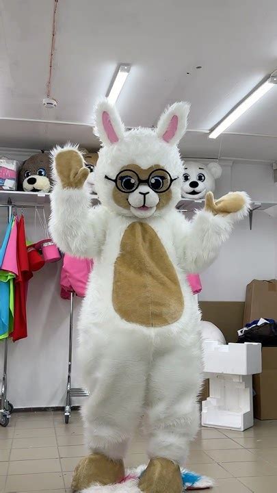 Ростовой костюм Альпака Примерка Youtube