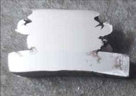 Prepared Specimen For Microstructure Test Download Scientific Diagram