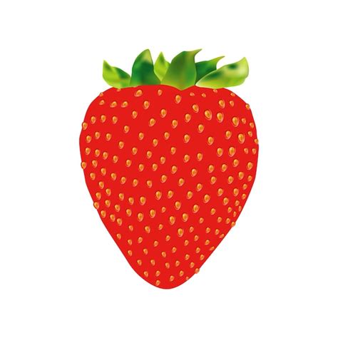 현실적인 고립 된 벡터 딸기 디자인 프리미엄 벡터