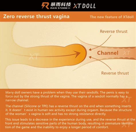 Pushing The Boundaries Of Adult Doll Technology