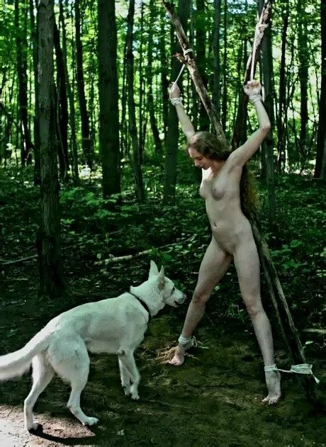 Tied To A Cross In The Forest Being Sniffed Pic