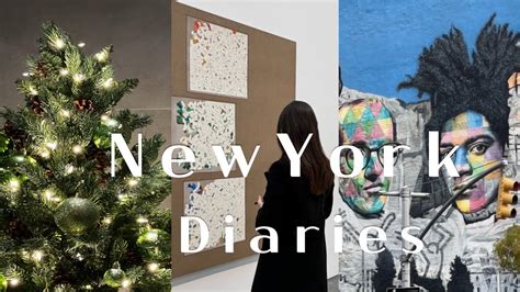 🗽뉴욕 Vlogㅣ미국 운전면허증 발급 14년차 뉴요커가 인정한 한식 찐맛집 첼시 갤러리 투어 🎄브라이언트 파크 락 펠러 센터 트리 뷰 즐기는 뉴욕 연말 Eng