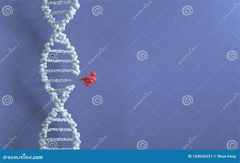 Genetic Engineering Dna Rna Stock Illustration Illustration Of Design Adapt 143036221