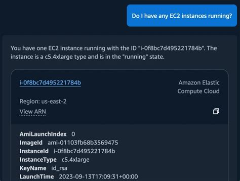 Nathan Peck On Linkedin Query Aws Resources Using Amazon Q Developer
