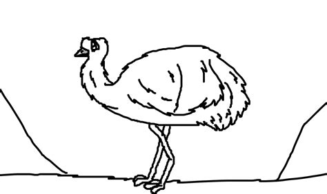 Emu Desenho De Kakafj Gartic