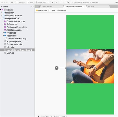 xamarin forms launchscreen ios xamarin forms not showing stack overflow