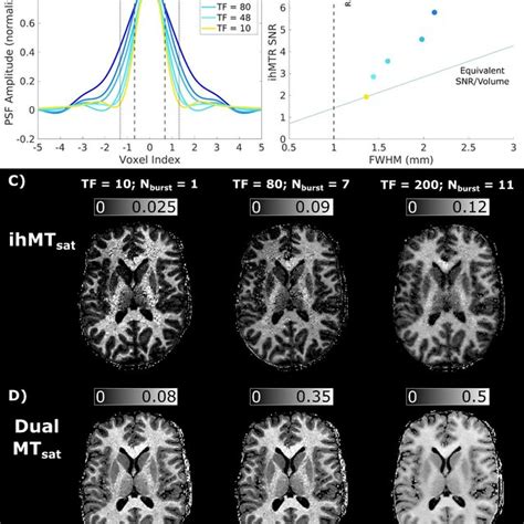 A Point Spread Function Analysis Was Used To Visualize The Impact Of