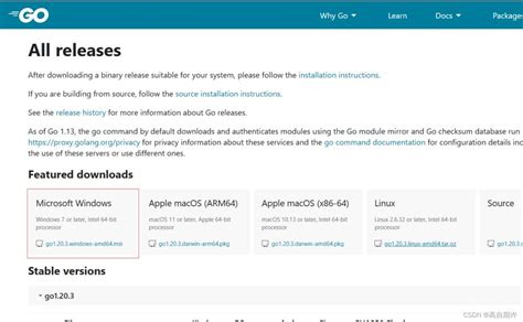 Golang环境搭建及打包和工具链详解 Golang 脚本之家