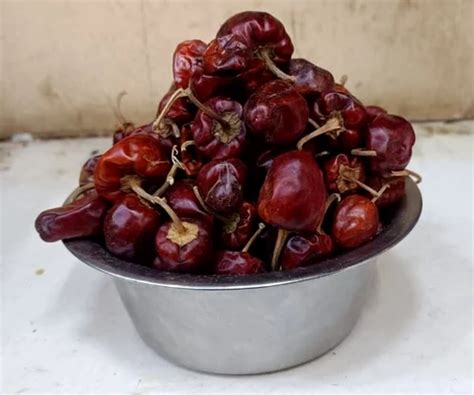 Boriya Dry Red Chilli At ₹ 210kg Dry Red Chilli In Kamuthi Id