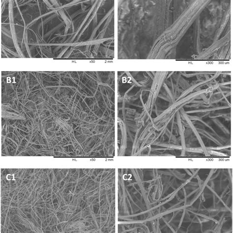 Diameters Distribution Of Hemp Fibers A Untreated Fibers B 190°c Download Scientific