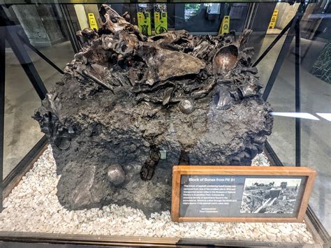 Visiting La Brea Tar Pits And Museum In Los Angeles Ca No Home Just Roam