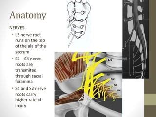 Sacral Fracture Pptx
