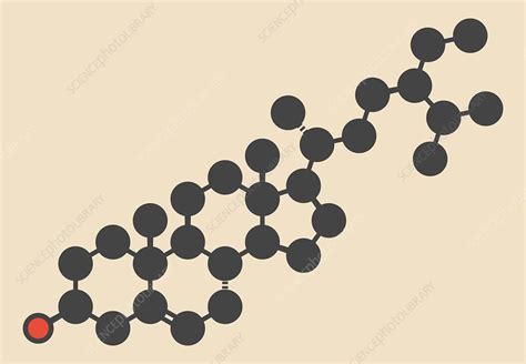 Beta Sitosterol Phytosterol Molecule Stock Image F012 5822 Science Photo Library