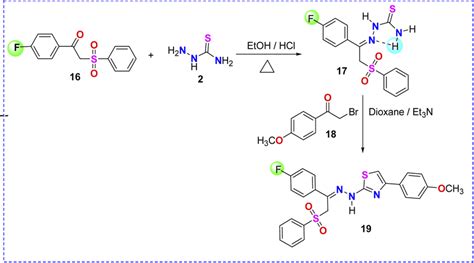 Synthesis Of Thiosemicarbazonephenylsulfone Derivative 17 And Thiazole Download Scientific