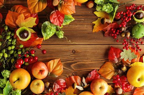 High Resolution Fruit Wallpapers 4k Hd Backgrounds On Wallpaperbat