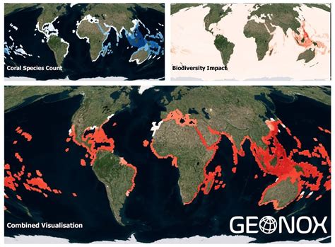 Gis Biodiversity Spatialanalysis Marineconservation Coralreefs Datavisualization Geonox
