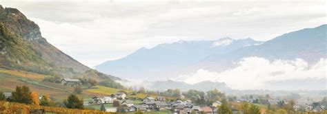 Domaine Blard Oenotourisme