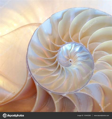 Fibonacci Sequence In Space