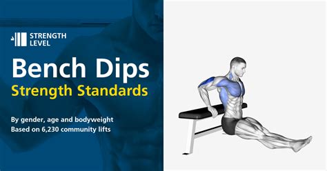 Bench Dips Standards For Men And Women Lb Strength Level