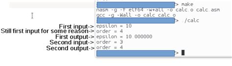 Printf Scanf Run Twice Instead Of One Time At Assembly X8664 Stack