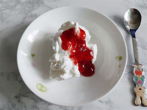 홈메이드 그릭요거트 개시 네이버 블로그