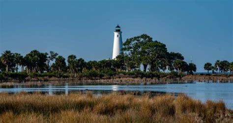 St Marks Lighthouse Friends Of St Marks Wildlife Refuge