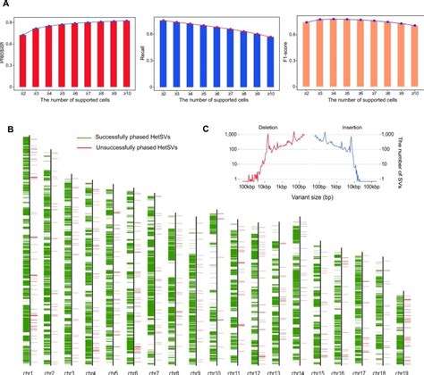 Long Read Based Single Sperm Genome Sequencing For Chromosome Wide