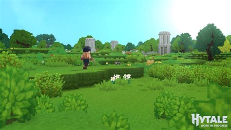 How To Play Hytale Multiplayer With Friends
