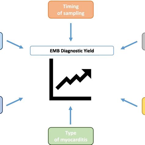 Electroanatomic Mapping EAM Guided Endomyocardial Biopsy EMB In A Download Scientific
