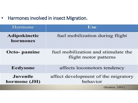Insect Migration And Displacement Pptx
