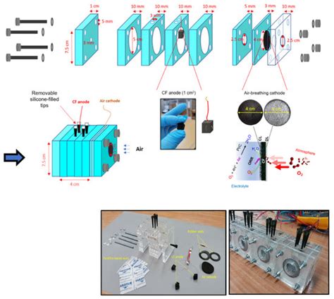 Selective Sensing In Microbial Fuel Cell Biosensors Insights From Toxicity Adapted And Non