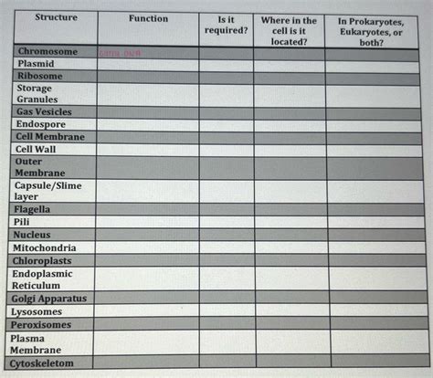 Solved Can You Please Help Me Fill Out This Chart Structure Function