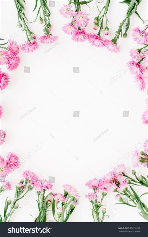 Background Border Sijil Cantik Border Sijil Pdf Rachel Hagenes