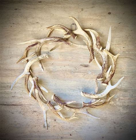 Antler Decoration Ideas Crafts Antler Crafts Deer Antler Crafts