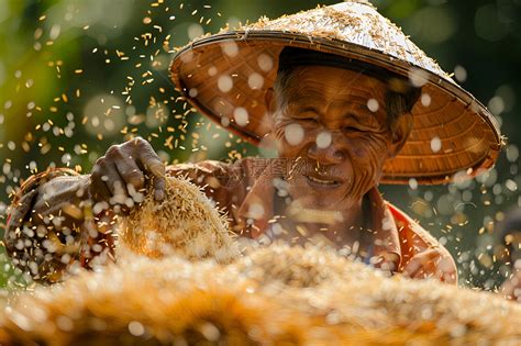 农民丰收的稻谷高清图片下载 正版图片601094876 摄图网