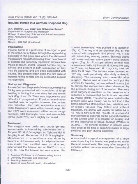 Inguinal Hernia In A German Shepherd Dog Pdf Medical Specialties