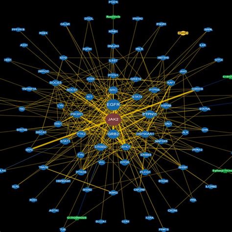 Prediction Result Of Sift And Polyphen Programs Download Table